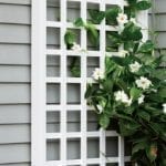 Outdoor Living Products - Pine Harbor Wood Products